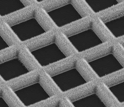 chameleon | SPT Labtech